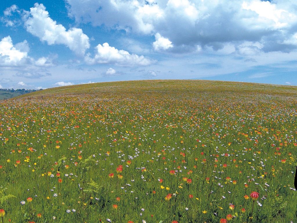 Kitulo National Park | Nana Safaris