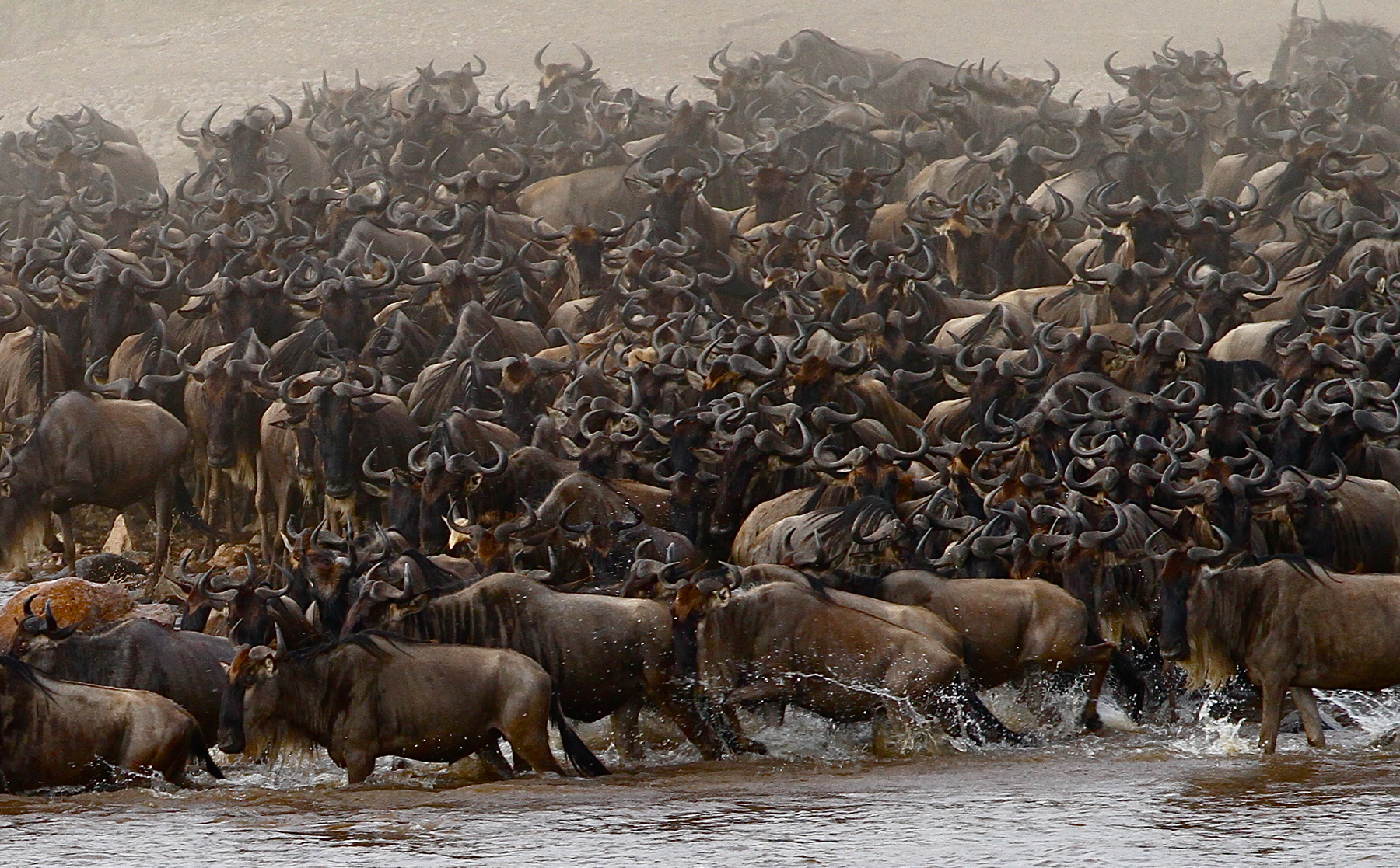 Serengeti National Park | Nana Safaris